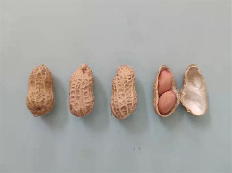 体系动态