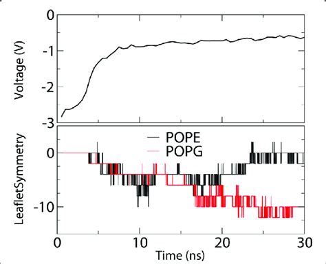 Lipid Flip Flopping Tmv And Leaflet Symmetry Measurements Of A Download Scientific Diagram