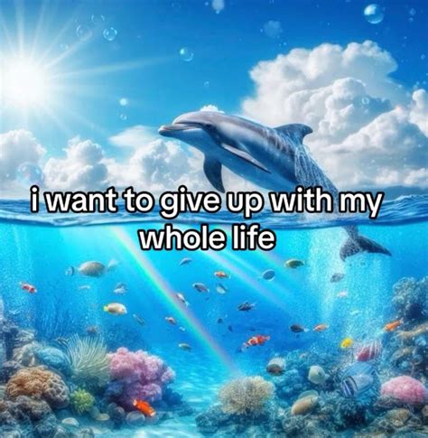The ‘symphony Dolphin Meme Has Taken Over Tiktok — Heres Why