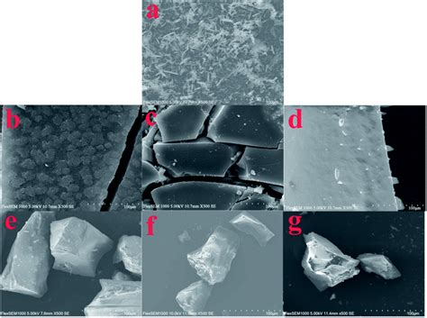 Solubility And Biological Activity Enhancement Of Docetaxel Via Formation Of Inclusion Complexes
