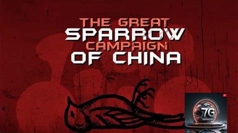 The Great Sparrow Campaign Youtube