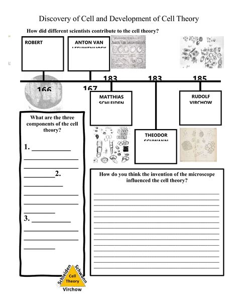 Discovering Cells Worksheet Answers