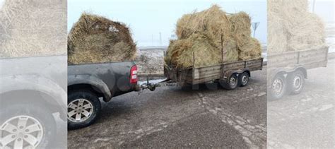 Сено в рулонах 120рулон купить в Казани Животные и зоотовары Авито