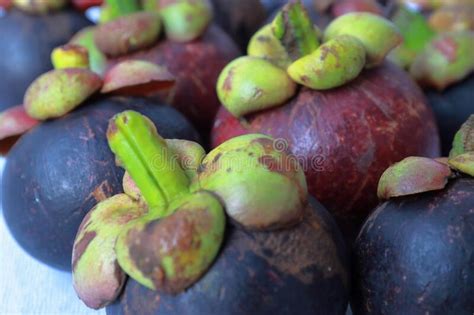 Purple Mangosteen Fruit With Delicious Core Cancer Prevention Fruits
