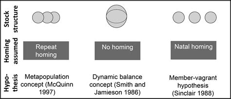 A Spatial Approach To Understanding Herring Population Dynamics