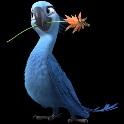 Characters In Rio Tv Tropes