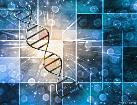 Polysciences Pei转染试剂保存条件，你了解么？ 知乎