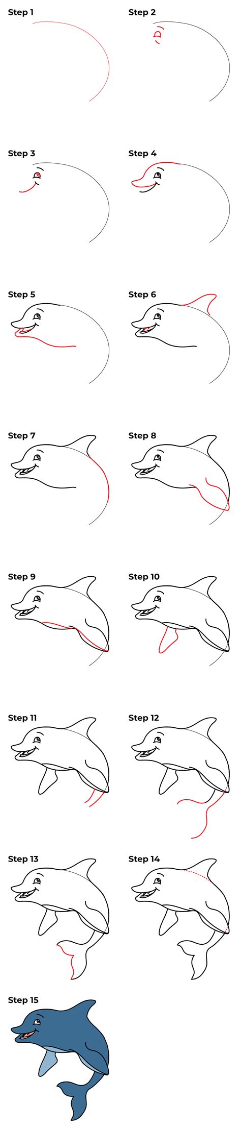 How To Draw A Cute Dolphin