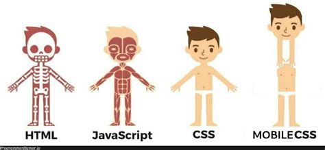 Understanding The Web In Easy Steps ProgrammerHumor Io