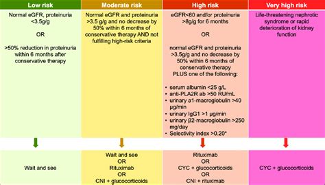 Risk Stratification And Treatment Options In Membranous Nephropathy Download Scientific