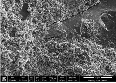 Is The Sem Comparison Diagram Of Recycled Aggregate Concrete And