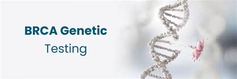Test Genetici Brca E Valutazione Del Rischio Di Cancro
