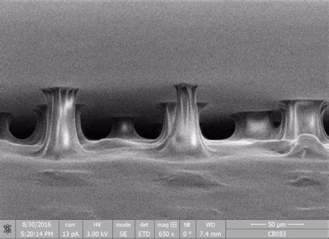 Matteo Ciccotti Home Page Home