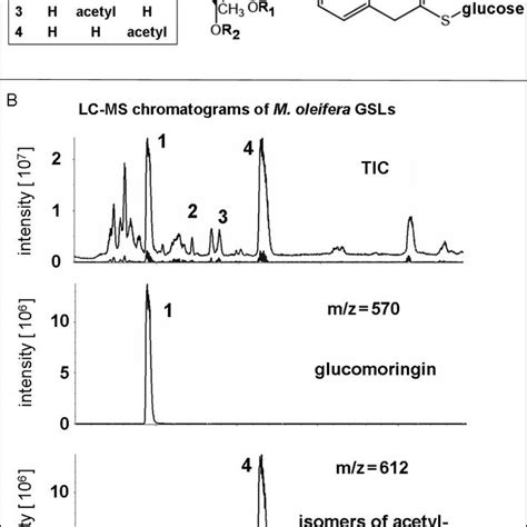 Structure Of The M Oleifera Glucosinolates And The Related Download Scientific Diagram