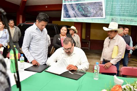 Prepara Michoacán Certificación Ambiental Para Cultivo De Aguacate
