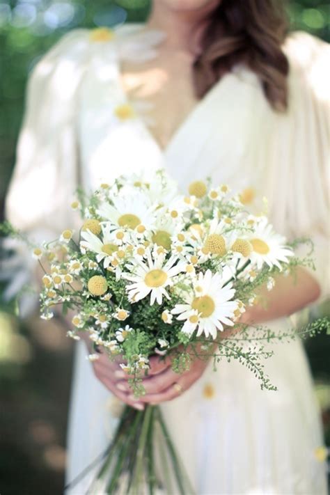 ハーブのいい香りで癒される♡清楚で可愛いカモミールの花束が素敵です♡ Marry マリー