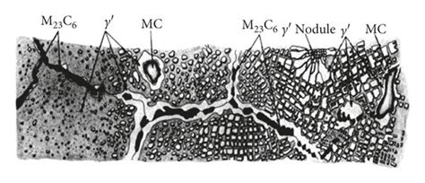 Coherency Strain Generated By Precipitates And The Base 18