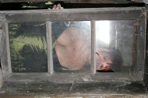 In The Attic 66 Pics Xhamster