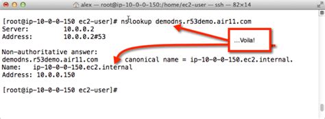 how to set up aws dns in a vpc thinking aloud