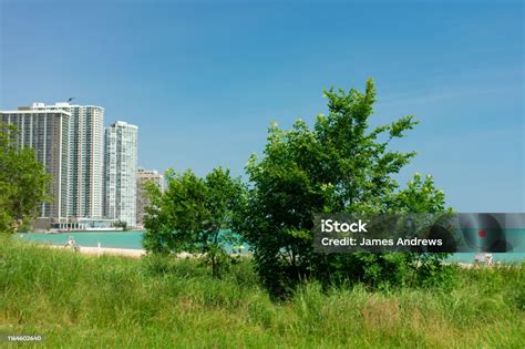 고층 빌딩과 미시간 호수가 있는 에지워터 시카고 비치의 나무와 토착 식물 0명에 대한 스톡 사진 및 기타 이미지 0명 건물