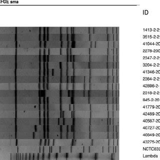 Dendrogram Created By The Unweighted Pair Group Method Using Average