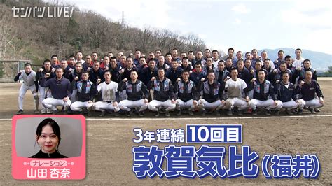 【動画】【敦賀気比福井】女優・山田杏奈がナレーター！2023年センバツ出場校紹介 スポーツナビ「センバツlive！オリジナル企画動画」