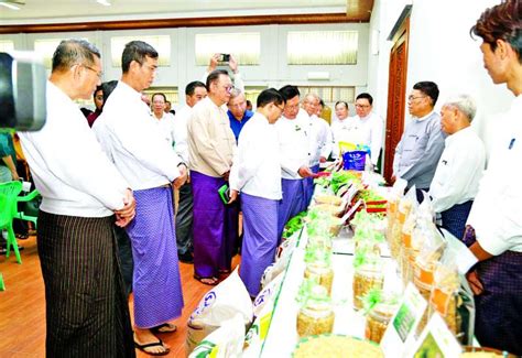 ပြည်ထောင်စုရာထူးဝန်အဖွဲ့ မိုးရာသီသစ်ပင်စိုက်ပျိုးပွဲကျင်းပ Ministry Of Information