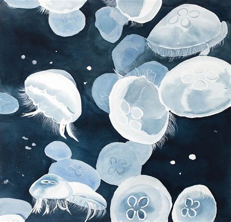 Aurelia Aurita Jellyfishes Poster Print by Atelier B Art Studio VARPDXBEGANI Medusa Baskı