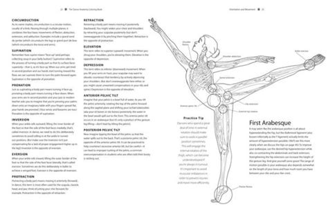 The Dance Anatomy Coloring Book A Visual Guide To Form Function And