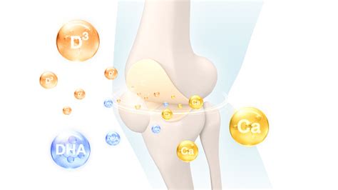 뼈와 관절 영양 보충제 비타민 의료 또는 건강 관리 개념 3d 렌더링 뼈에 대한 스톡 사진 및 기타 이미지 뼈 건강관리와