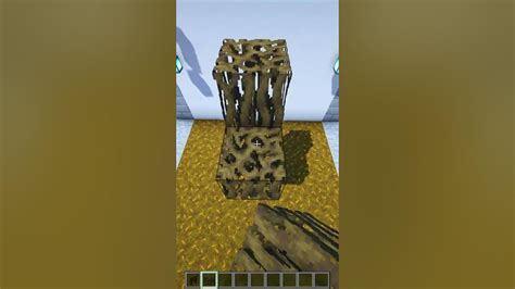 Dead Tree Minecraft Vs Real Life 🌳💀 Youtube