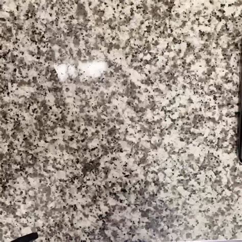 Eranga Devasurendra The Vitruvian Fan Home