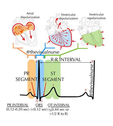 Tyler The Visual Nurse Thevisualnurse • Instagram Photos And Videos