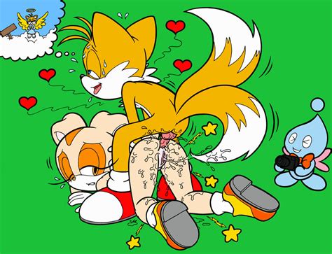 Rule 34 Anal Anal Sex Anthro Camera Canine Chao Sonic Cheese The