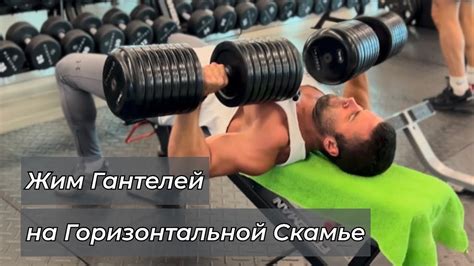Жим Гантелей на Горизонтальной Скамье Youtube