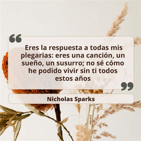 Frases De Admiración Y Respeto Para Una Mujer Expresa Tu Admiración