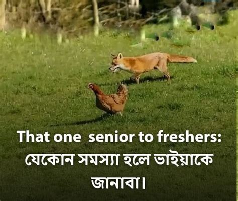 Maymuna Akter Mowmita