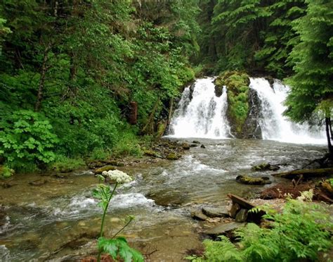 Alaska Salmon Bake And Mendenhall Glacier Juneau Ak Shore Excursions