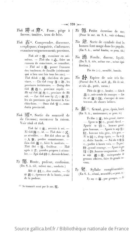 Dictionnaire annamite français langue officielle et langue vulgaire