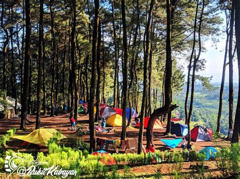 7 Rekomendasi Tempat Camping Keluarga Terbaik Di Bogor