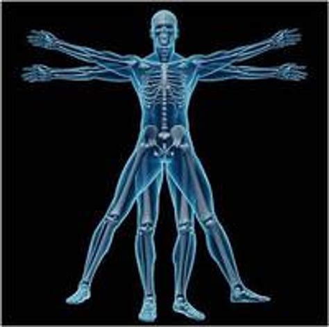Direct Vs Indirect Costs Of Work Related Injuries