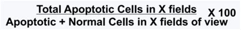 Cell Bio Lab Exam 1 Flashcards Quizlet