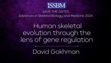 Human Skeletal Evolution Through The Lens Of Gene Regulation הפקולטה
