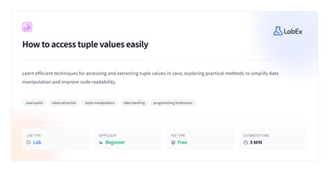 How To Access Tuple Values Easily Labex