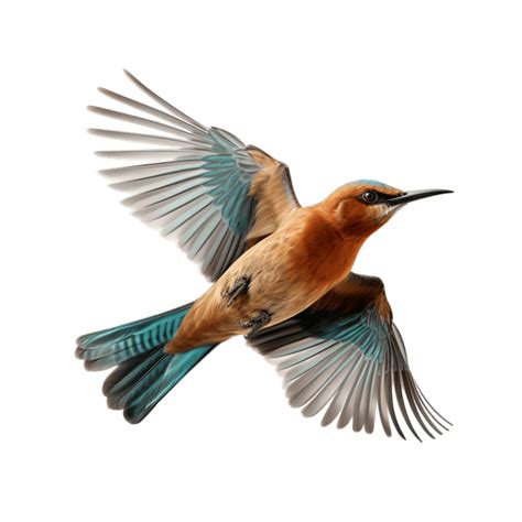 Birds Flying Animation Pngs For Free Download