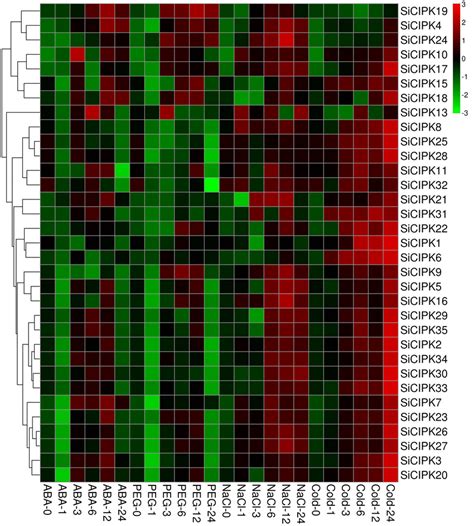 Heat Map Showing The Expression Profiles Of Sicipk Genes In Response To