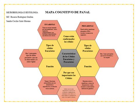 Microbiologia E Histologia Mapa Cognitivo De Panal Descargar Gratis
