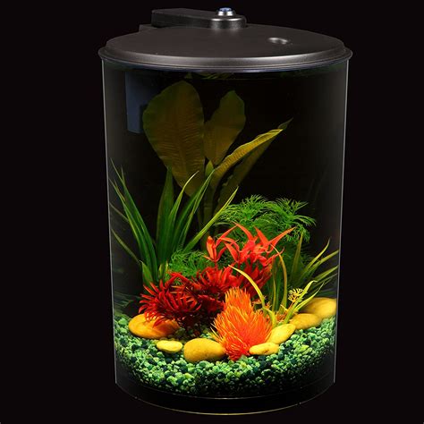 Koller Products Gallon Tropical View Aquarium Starter Kit
