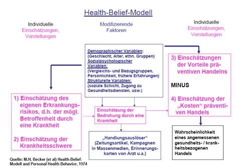 Theorien Zum Gesundheitsverhalten Health Belief Modell Public Health