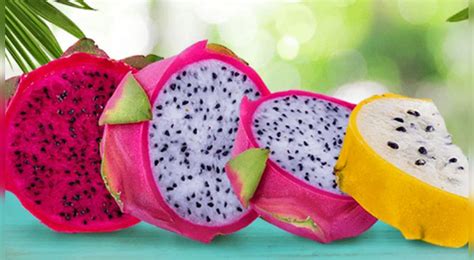 ℹ Descubre Los Sorprendentes Beneficios De La Fruta Del Dragón Para Tu